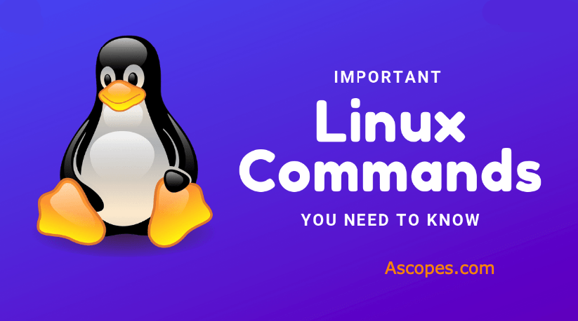 important linux command - ascopes.com